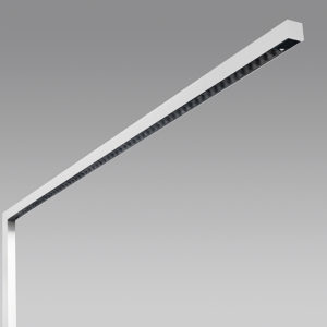 Molto Luce - Novii Lighting