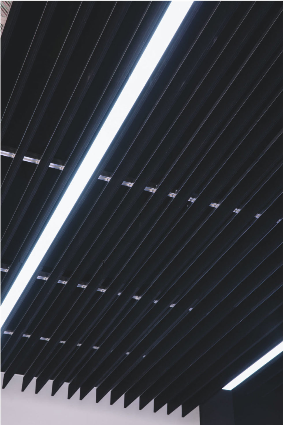 Spark Innovation Studio - Experiential Lighting Projects - Novii