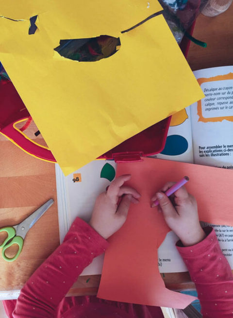 Novii - Commercial Lighting Experts | Elevating Human Experiences